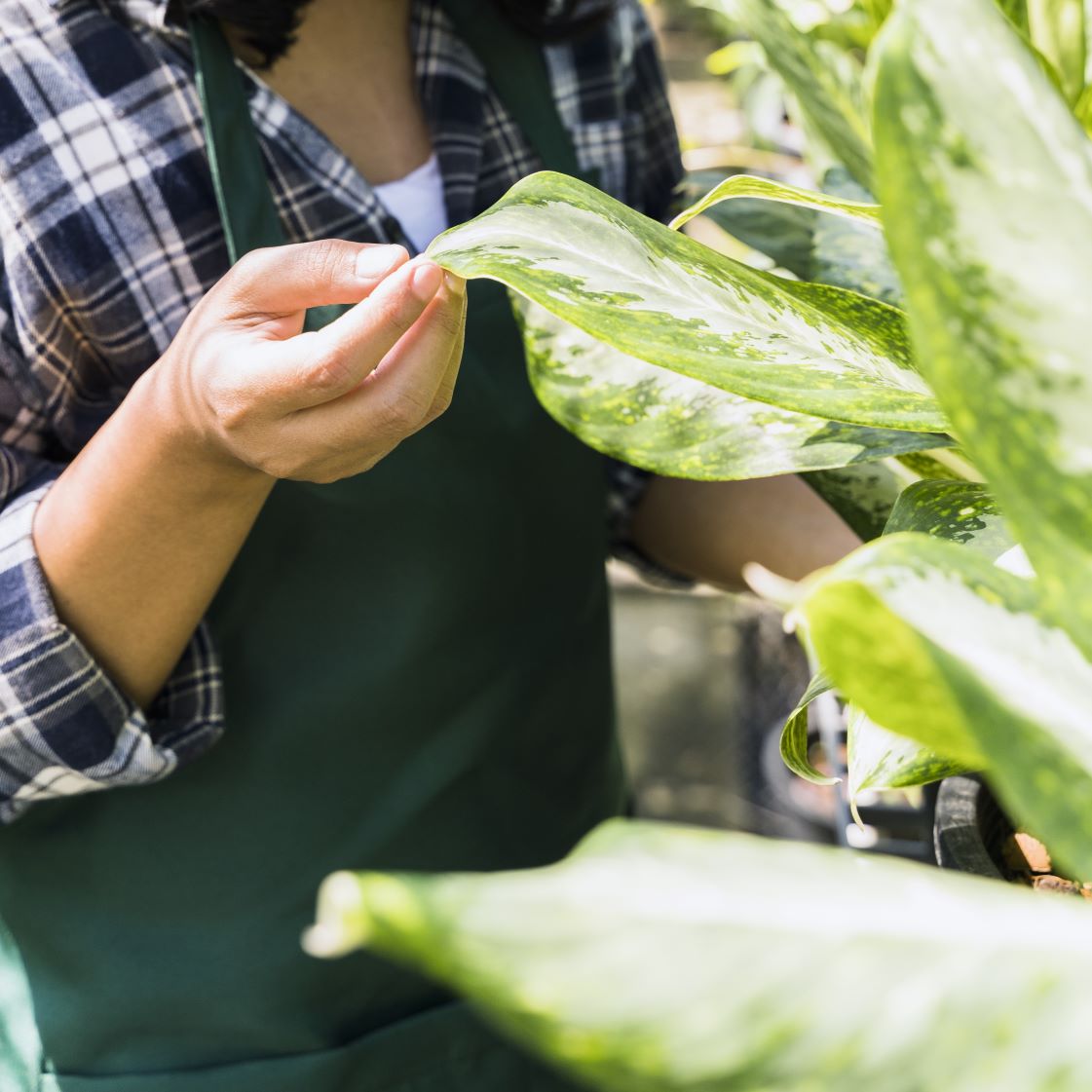 Manpower Examples, Definitions, and Importance | Kabraso