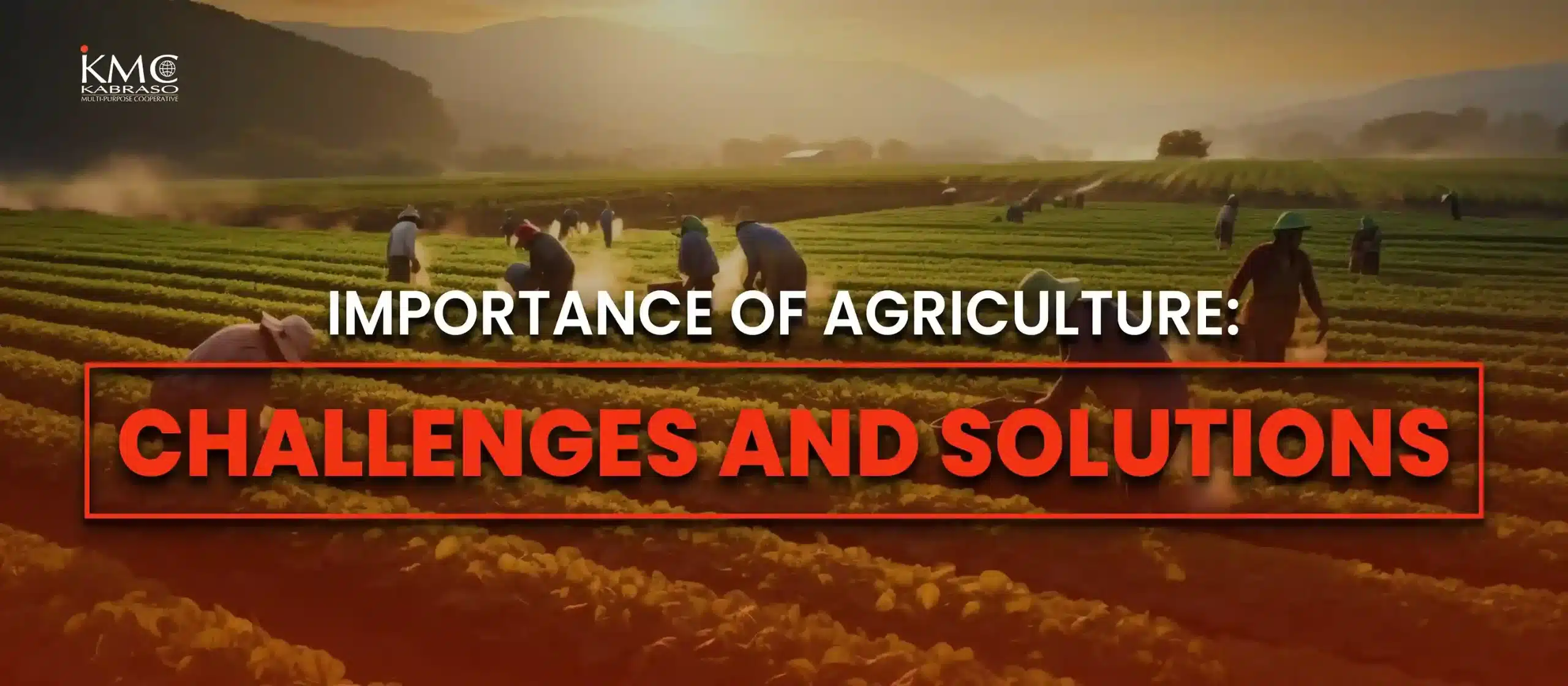 The Importance of Agriculture: Challenges and Solutions